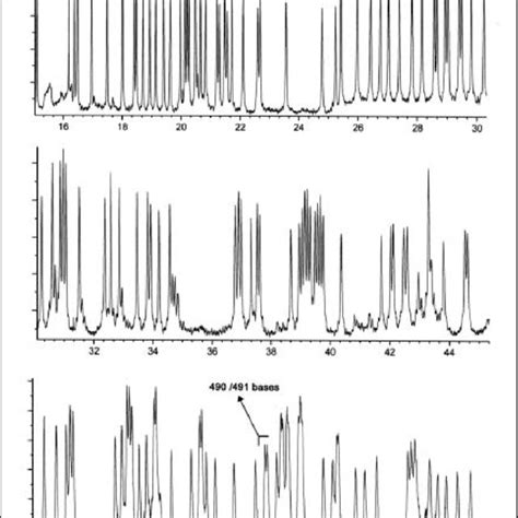 Pdf Dna Sequencing By Capillary Electrophoresis Using Short Oligonucleotide Primer Libraries