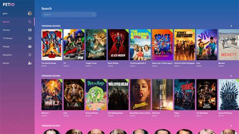 theme park custom themes for all your organizr tabs r organizr