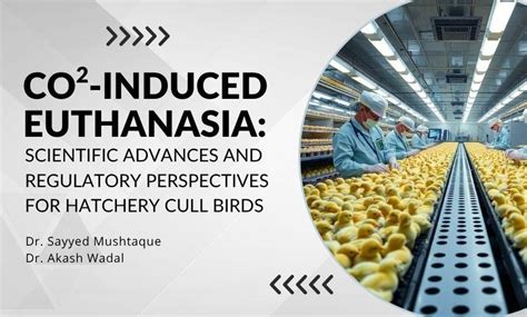 Co₂ Induced Euthanasia Scientific Advances And Regulatory Perspectives