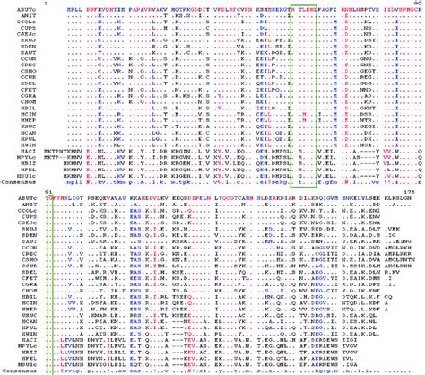 Alignment Of Luxs From Campylobacterales Luxs Sequences Were Aligned
