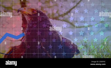 Multiple Blue Graphs Moving Over Grid Network And Multiple Stars Against Close Stock Video