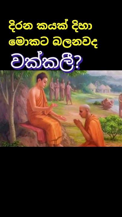 වක්කලී රහතන් වහන්සේ 🙏🤚🌼🏵️🌸☸️ Buddha බුදුරදුන් Youtube