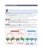 Types Of Transport Docx Types Of Transport Understanding Particles Move Across Membranes By