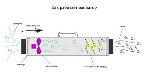 Ионизатор воздуха для холодильника: принцип работы, виды и технические ...
