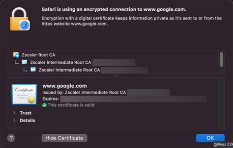 Disable Zscaler Temporarily On Your Mac