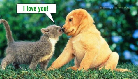 Ponder Over Thoughts Symmetrical Vs Complementary Relationship