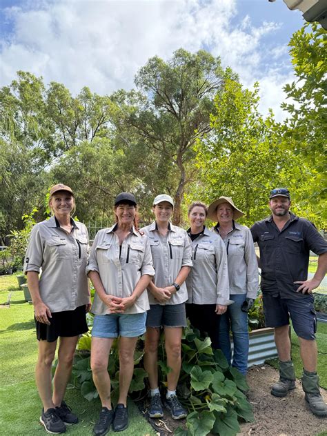 Dynamic Tree Solutions Added A Dynamic Tree Solutions