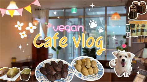 Cafe Vlog 새로운 매장에서의 일상 비건카페 카페브이로그 매장확장 신메뉴출시 개인카페 Youtube