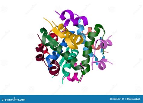 Insulin Monoclinic Crystal Form Ribbons Diagram In Secondary