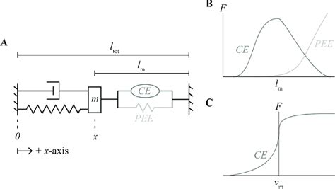 Visualization Of Modelling Framework Second Order Dynamic System Download Scientific Diagram