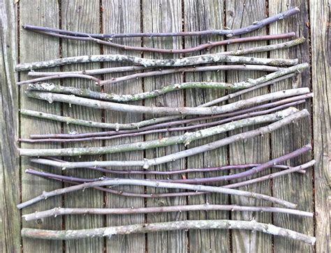 Extra Long Wood Tree Branches For Arts Crafts Home Decor Action Craftworks Llc