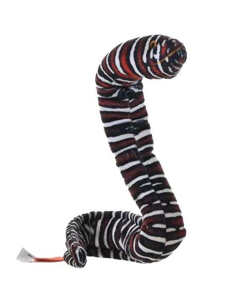 Zebra Moray Small Eel Plush Eel Perth Toy Shop Online Toy Store