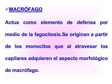 Tejidos Conjuntivo Y De SostÉn Origen EmbriolÓgico Mesodermo