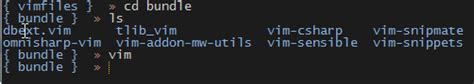 Linux Installing Plugins In Vim In Cygwin Stack Overflow
