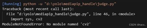 Vs Code 运行python文件和run Code执行结果不一样，终端运行正常，但run Code结果一直报错：no Module