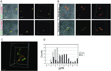 The Chromatin Environment Contributes To The Local And Long Range
