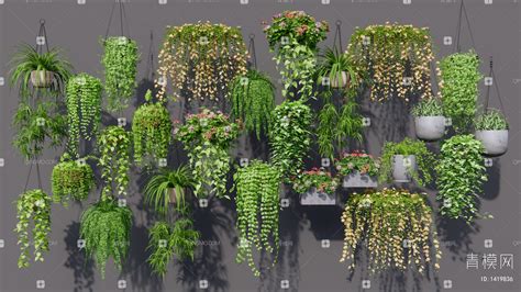 藤蔓吊篮 植物盆栽 绿萝 牵牛花 藤蔓 植物组合3D模型 现代VR无灯光有贴图MAX2016藤蔓吊篮 植物盆栽 绿萝 牵牛花 藤蔓 植物