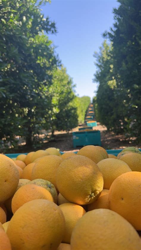 Robert Fahey On Linkedin Sevenseas Valencia