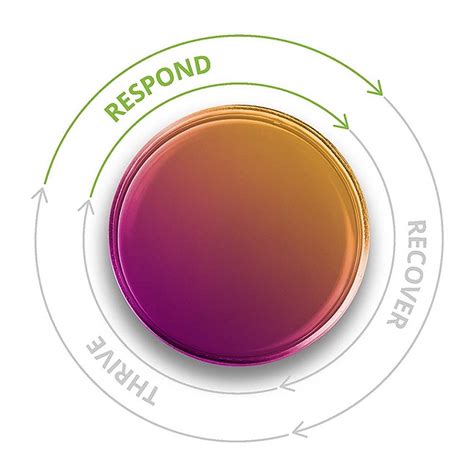 Develop Contingency Plans For Operational Disruption Deloitte Global