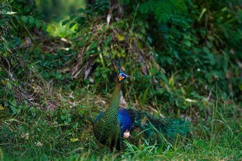 ลำปางโพสต์ ลำปางโพสต์ Lampang Post ข่าวลำปาง