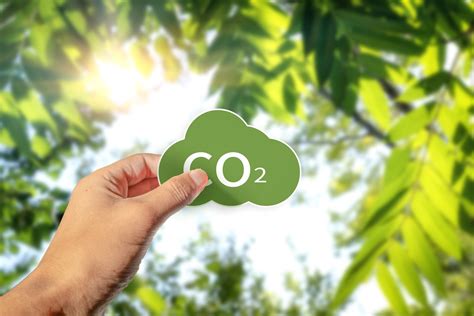 Exploring The Different Types Of Carbon Reduction Projects