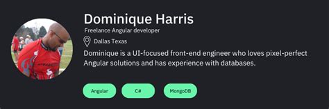hire dedicated angular developers hire angular programmers