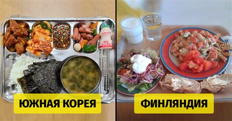 12 примеров школьных обедов которые покажут различия учебных заведений