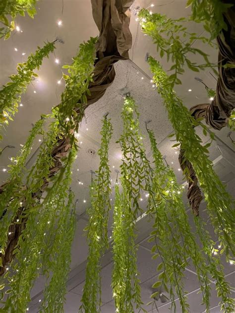 Some Green Plants Hanging From The Ceiling In A Room With Lights And Curtains On It