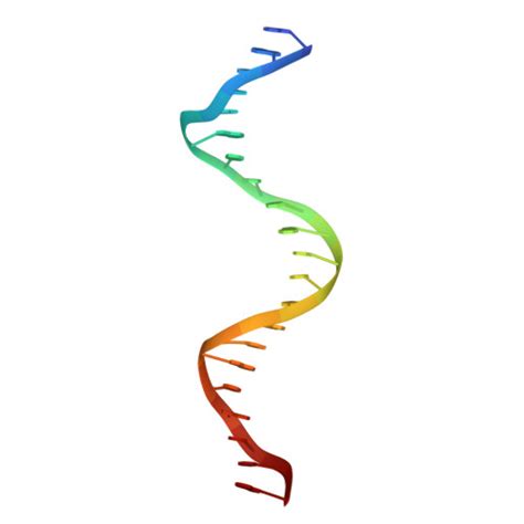 Rcsb Pdb 7sdf Cags Metal Mediated Dna Base Pair In A Self