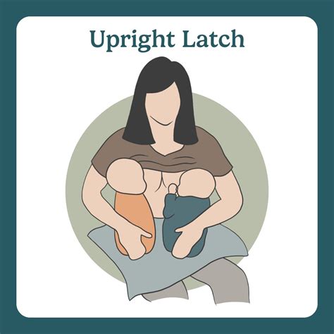 Twin Upright Hold Breastfeeding Glossary By The Lactation Collection