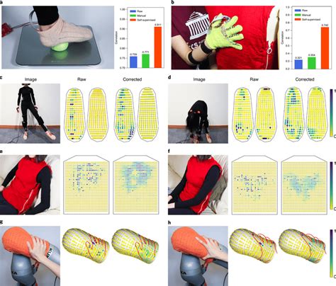 Self Supervised Correction A Procedure For Correcting The Tactile Download Scientific Diagram