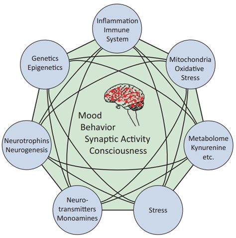 Molecular Psychiatry丨重度抑郁障碍中多神经信号通路和系统相互作用的机制 脑医汇