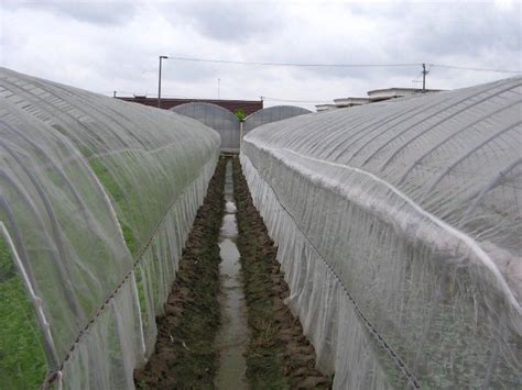 smart industrial netting systems overhead crop netting iso9001 approved