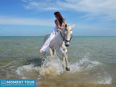 Катание на Лошадях и Купание с Лошадьми в Хургаде