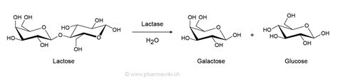 D Lactose Monohydrate Lactose Monohydraté Utilisations Effets