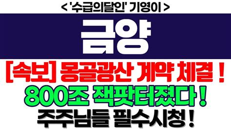 금양 주가전망 속보 몽골광산 계약 체결 800조 잭팟터졌다 주주님들 필수시청 Feat 수급의달인 기영이