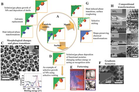Schematic And Experimental Data Depicting Different Postmodification