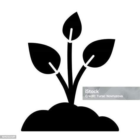 세 잎사귀 단단한 아이콘 자연 개념 흰색 배경에 토양 표지판에 심어진 새싹 글리프 스타일의 모바일 개념 웹 디자인의 어린 식물