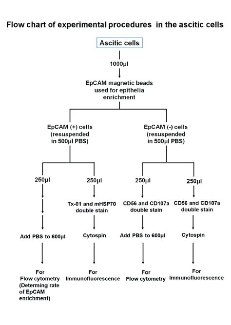 Figure S4 1 Flow Chart Of The Experimental Design For Ascetic Cell