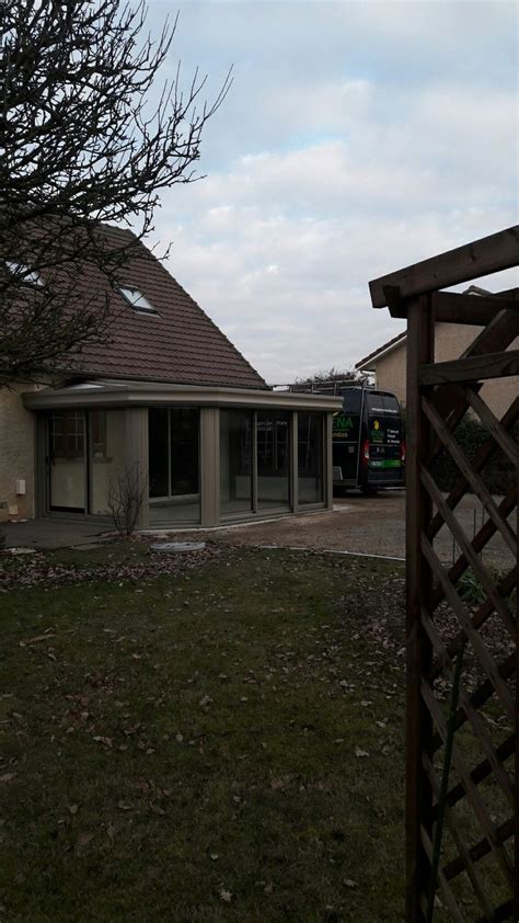 Tree Trunk Planter Ideas