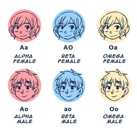 Анатомия омегаверса