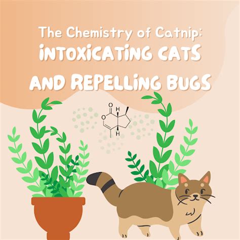 The Chemistry Of CatnipIntoxicating Effective Bug Repellant The Chicago Council On Science