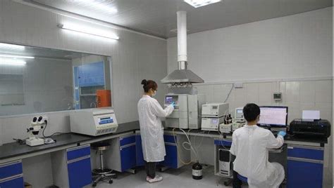 Mineral Mineral Processing Mineral Processing Test Beijing Hot Mining Tech Co Ltd