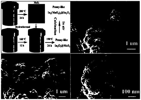 Gas Sensor Based On Metal Molybdate Nano Composite Material And Preparation Method Thereof