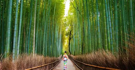 Arashiyama Bamboo Forest Kyoto Book Tickets And Tours Getyourguide