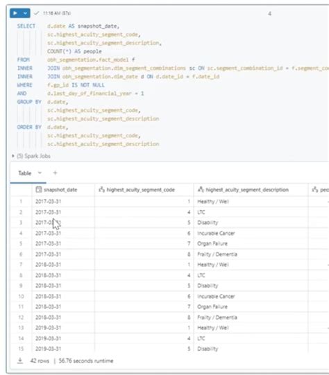 Nhse Segmentation Dataset Reference Guide Outcomes Based Healthcare