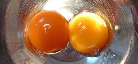 How To Upgrade A Dumb Shell To A Fully Interactive Shell For More Flexibility Null Byte