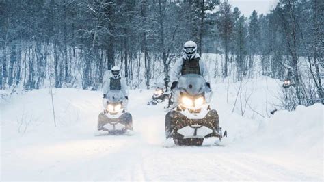 Uk Commando Force Deploys To Arctic Circle To Test Natos Defence Of Norway