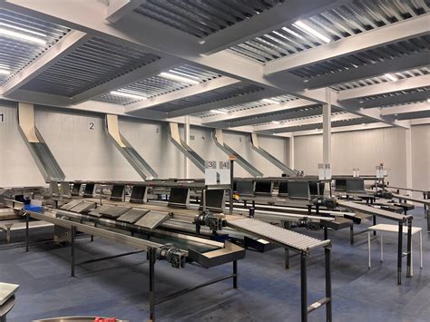 Sermac Line For Peaches And Tomatoes Used Machines Exapro