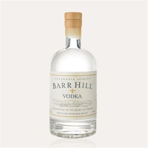 10 Best Top Shelf Vodka Brands To Drink In 2025